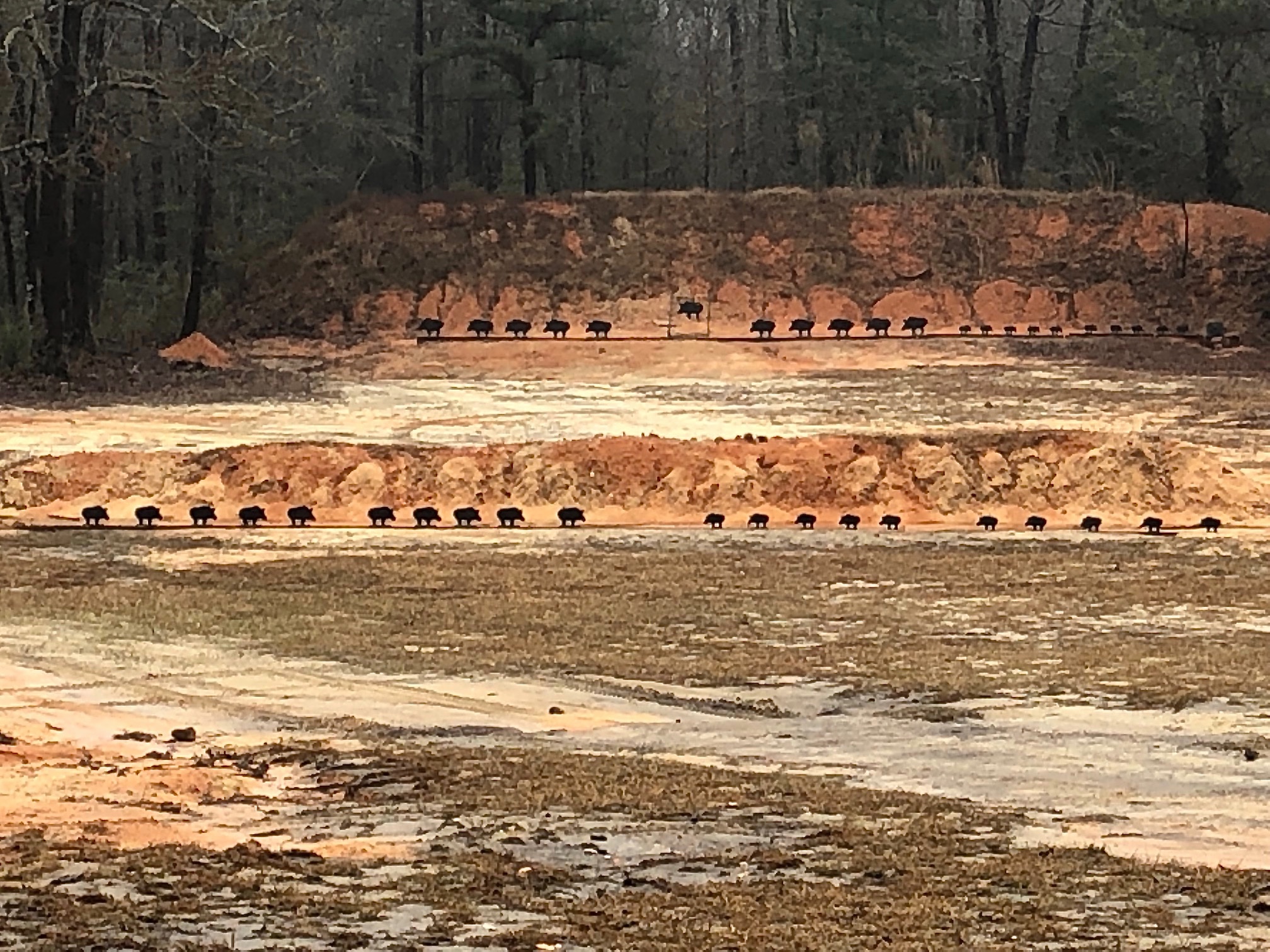 First IHMSA match with my old Dan Wesson Range Day Forum Dan Wesson Forum