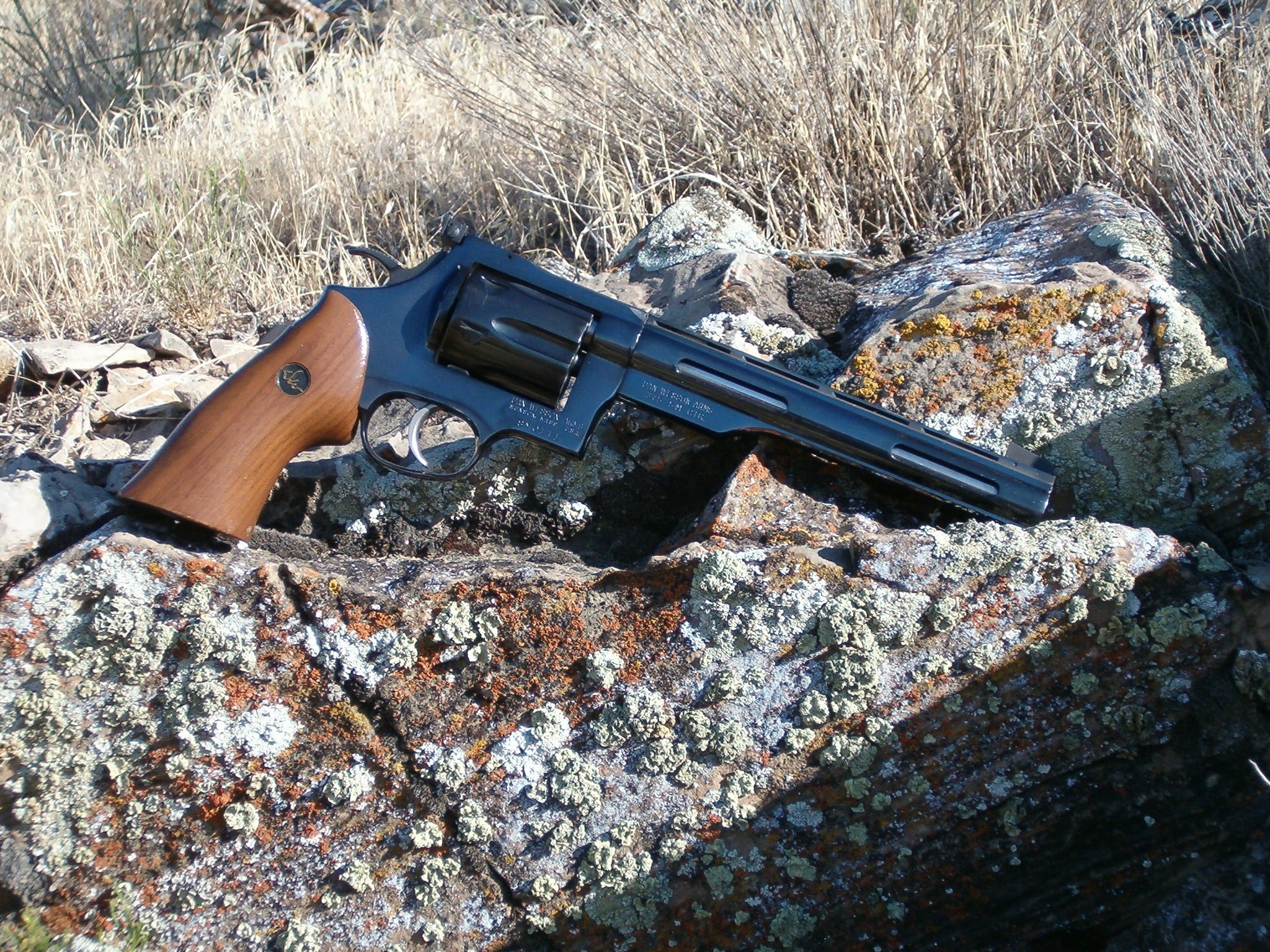 2025 DWF Calendar Contest (Post Pictures Here) General Discussion Forum ...