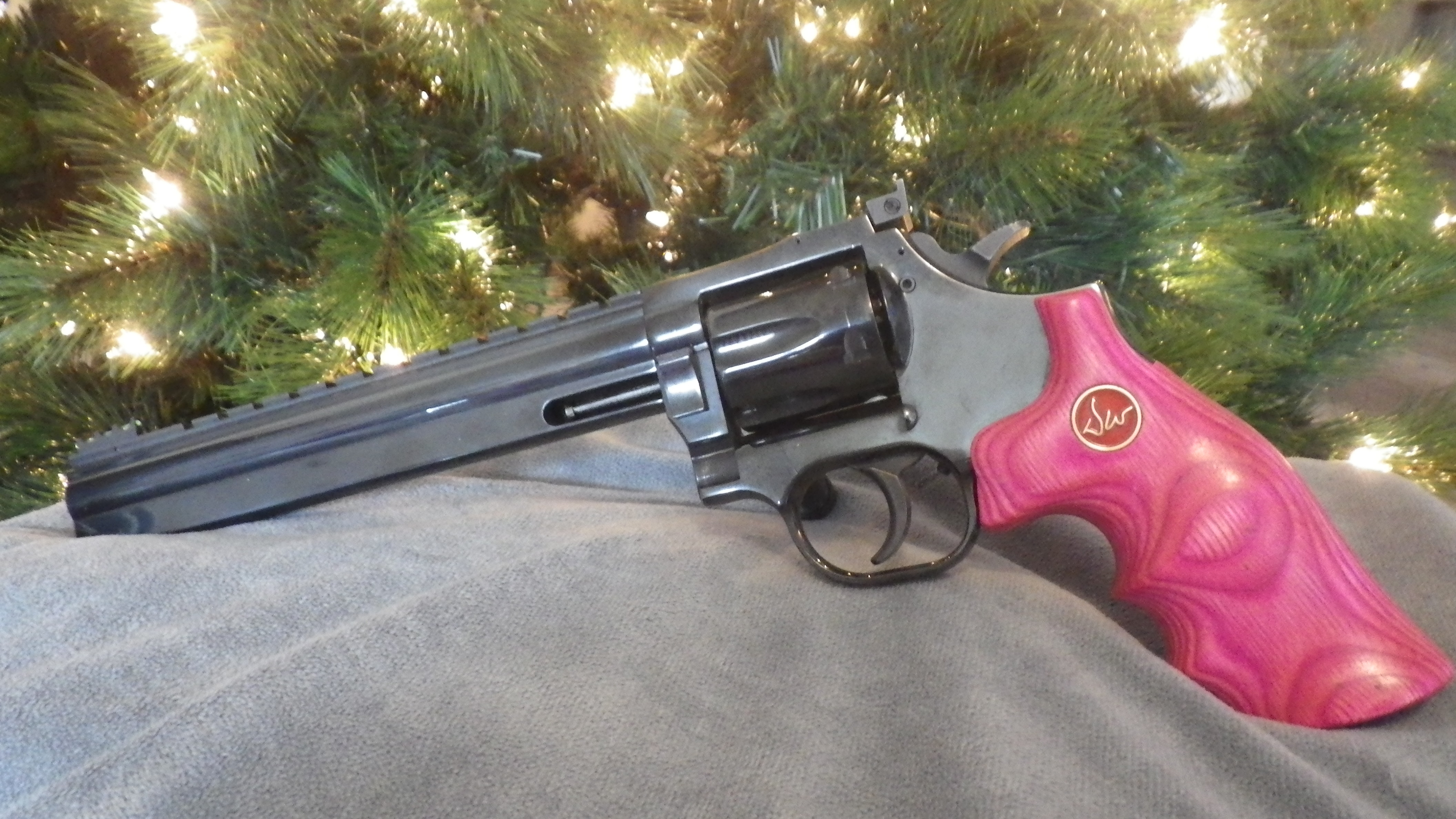 Daughter's Christmas Present Dan Wesson Small Frame Revolvers Forum Dan ...